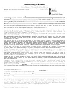 Free Customs Power of Attorney Template